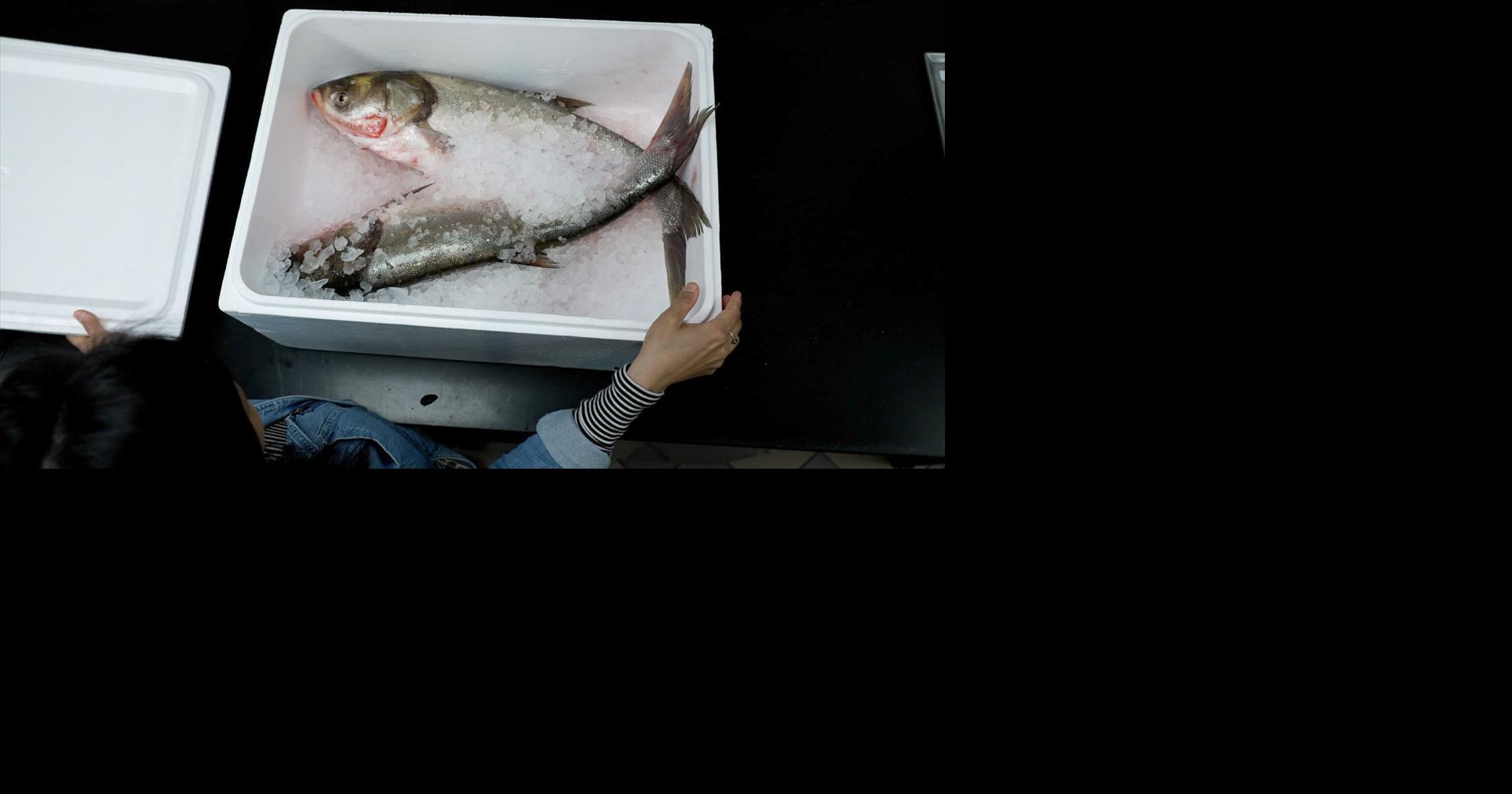 What's on the menu? SIU students to serve up copi at Du Quoin State ...