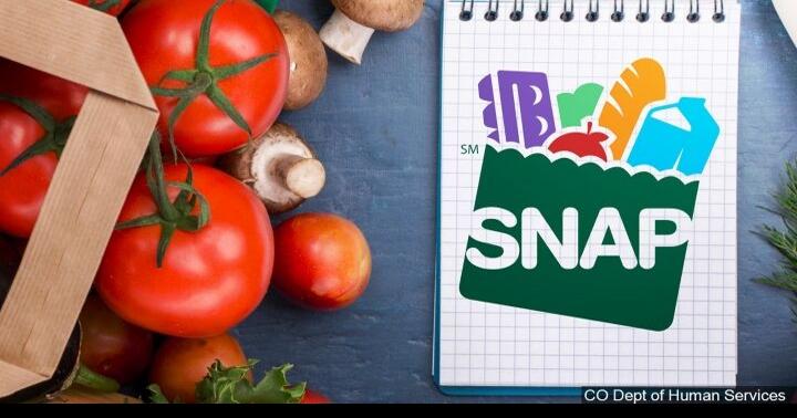 Illinois SNAP recipients now able to buy food online at ALDI | News ...