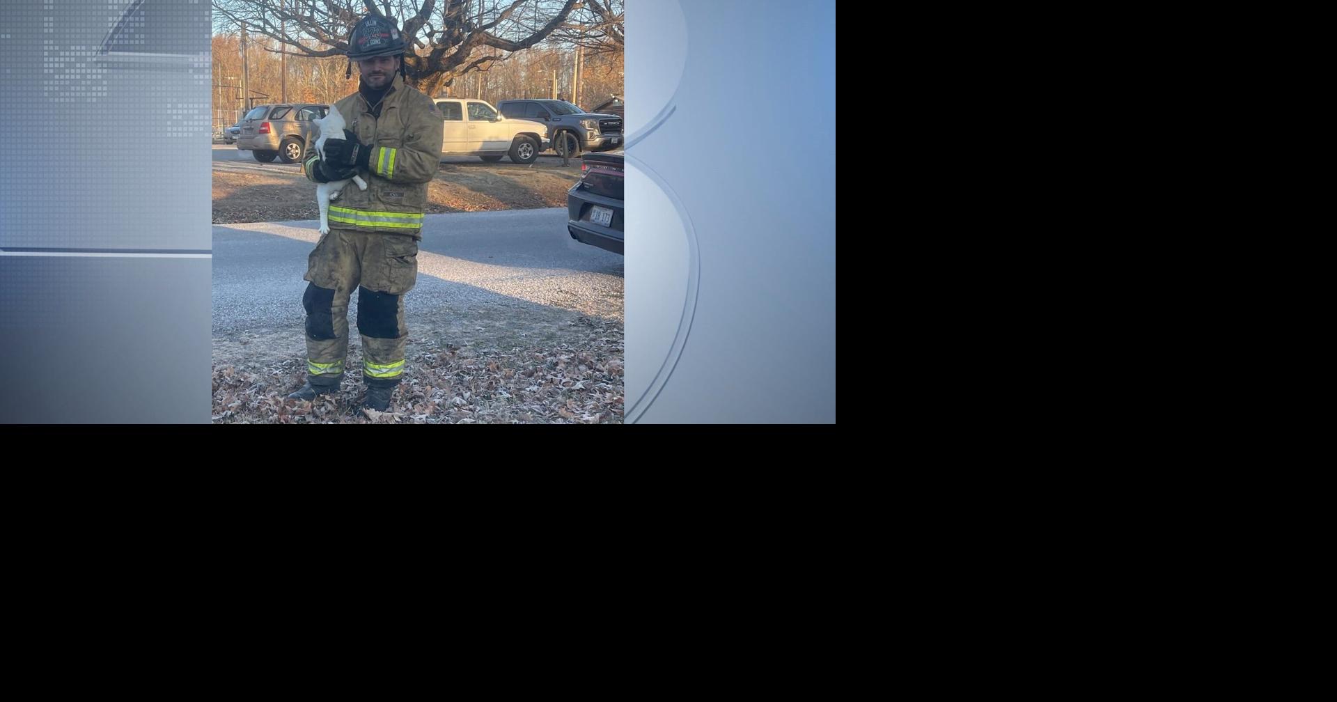 Southern Illinois firefighter rescues blind and deaf cat in house fire ...