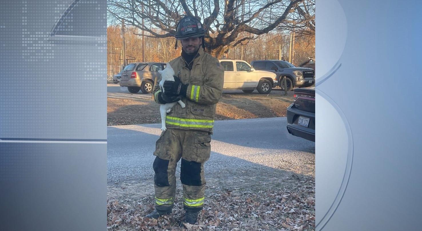 Southern Illinois firefighter rescues blind and deaf cat in house fire ...