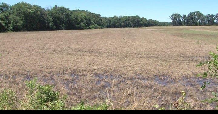 Farmers figure out what to do with unplanted fields | News | wsiltv.com