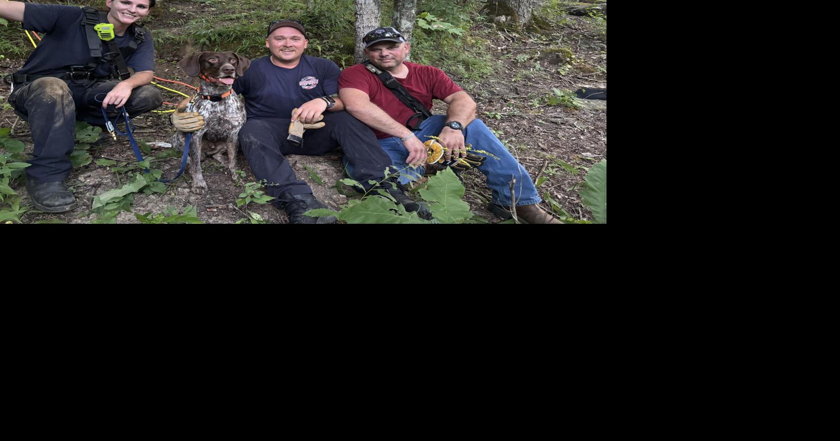 Dog rescued from 75-foot fall in Giant City State Park | Illinois ...