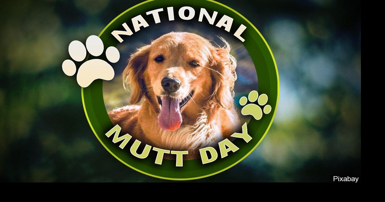 It’s National Mutt Day! | News 3 This Morning | wsiltv.com
