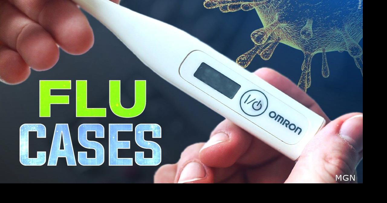 Beshear: Kentucky's pediatric flu deaths hit record high | Kentucky ...