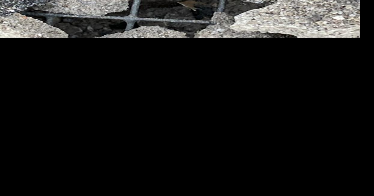 This ‘angel of debris’ digs through burnt rubble to find glimmers of ...