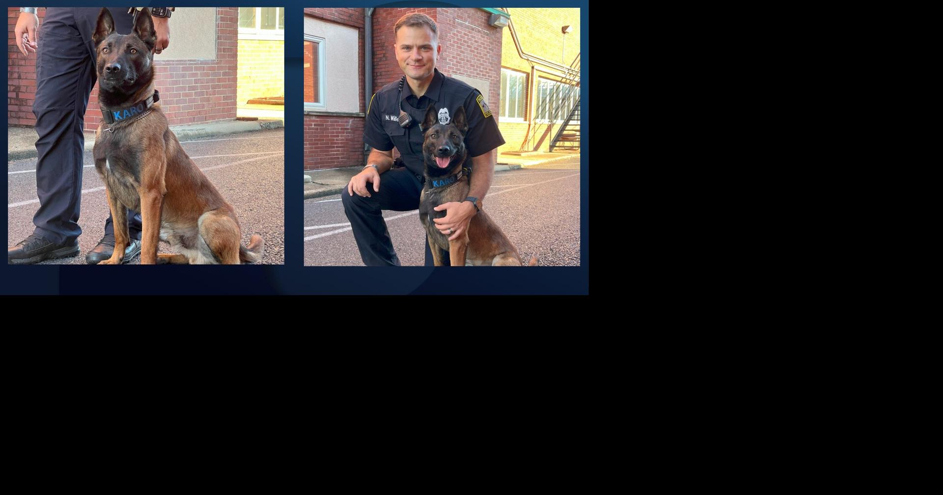 Paducah Police Department welcomes new K9 officer | Kentucky | wsiltv.com