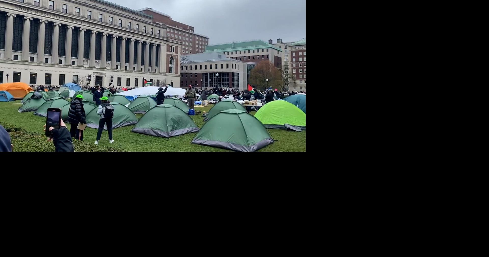 Over 100 people arrested as NYPD breaks up pro-Palestinian protest at ...