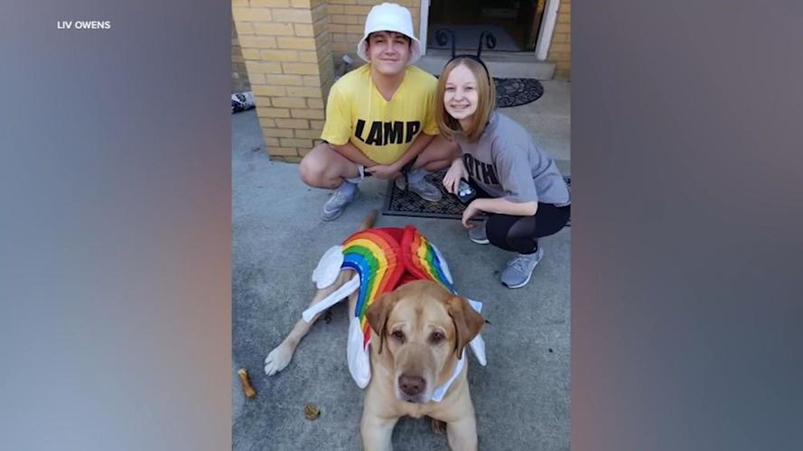 Photos of Wolfgang Gustaveson | | wsiltv.com