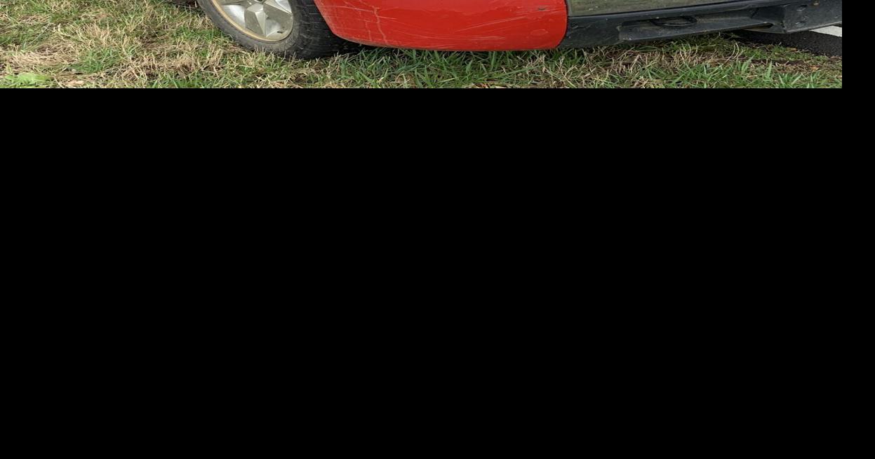 Lynnville man impaled by tree branch while driving | News | wsiltv.com