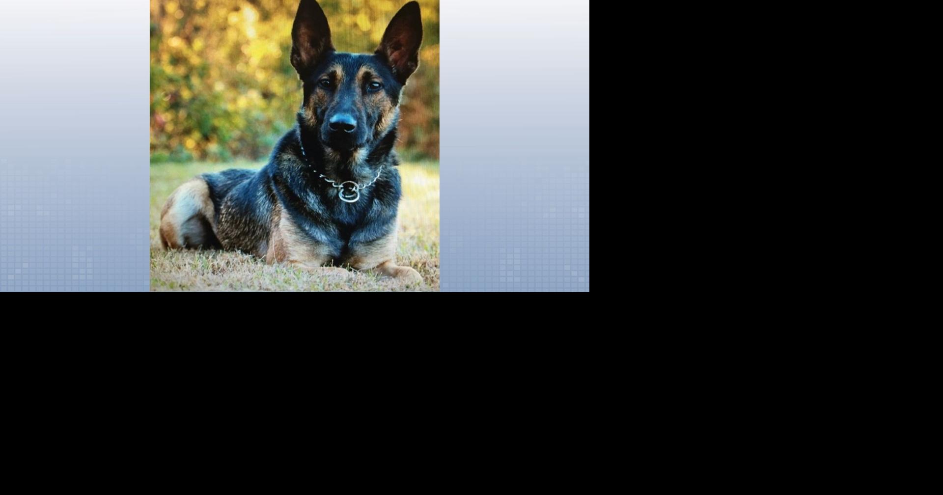 ISP honors K9 officer upon retirement | News | wsiltv.com