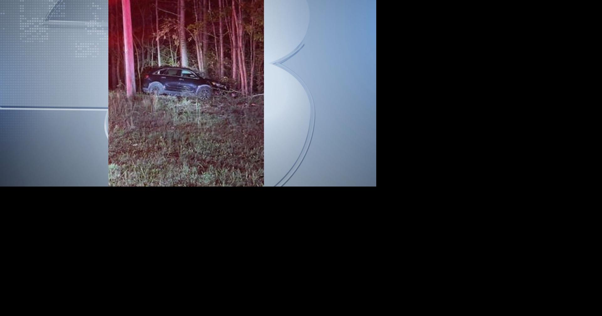 Metropolis man injured after car crashes into trees | News | wsiltv.com