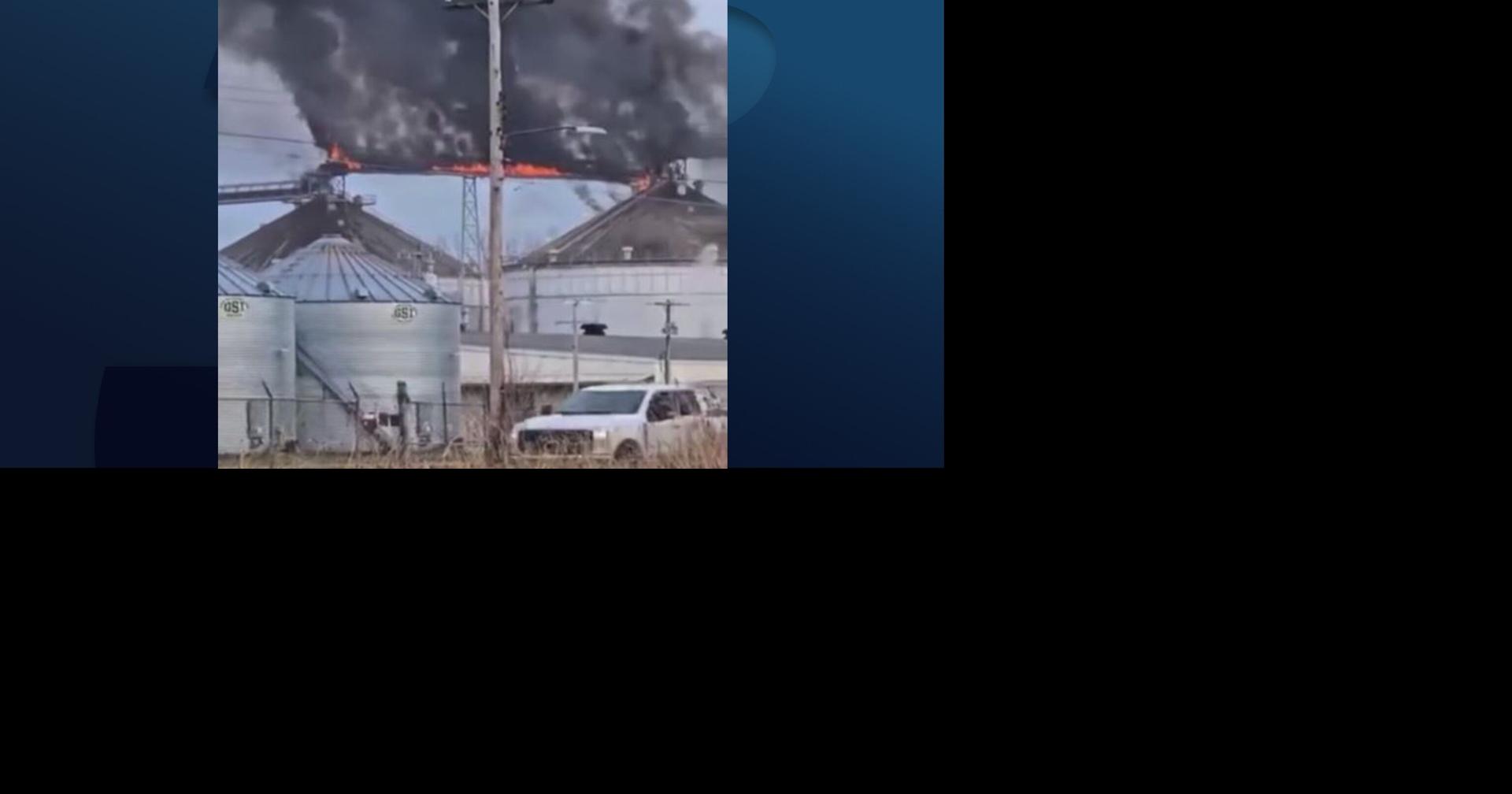 Firefighters respond to fire at Bunge in Cairo | Illinois | wsiltv.com