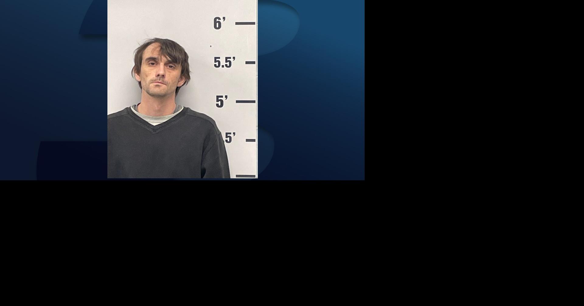 Woman stabbed multiple times, suspect in custody, police say | Missouri ...