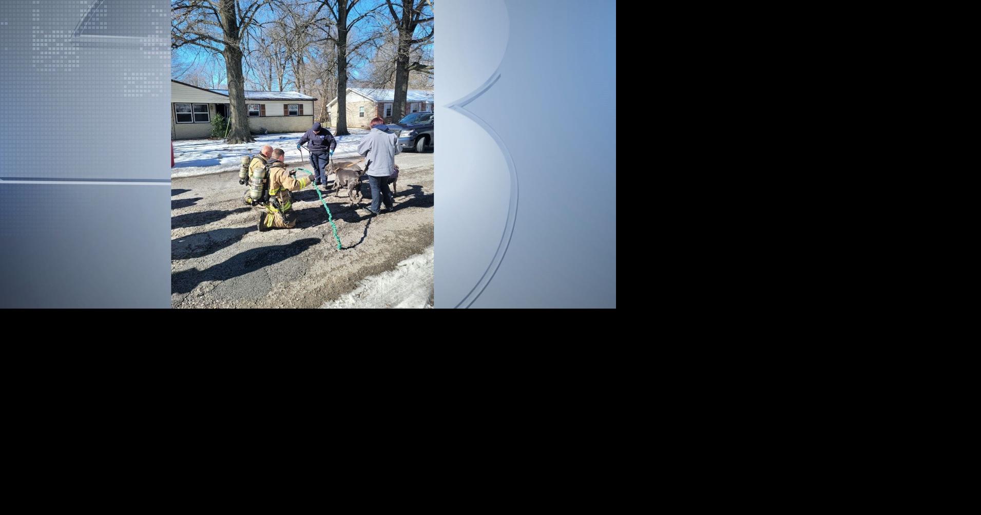 Firefighters rescue 3 dogs in Sikeston house fire | Missouri | wsiltv.com