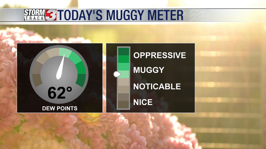 Slightly warmer and slightly more humid today | News | wsiltv.com