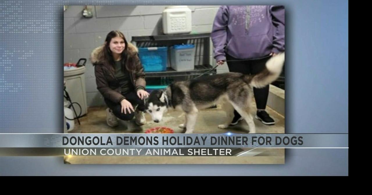 Dongola Demons volunteer at Union County Animal Shelter | Video ...