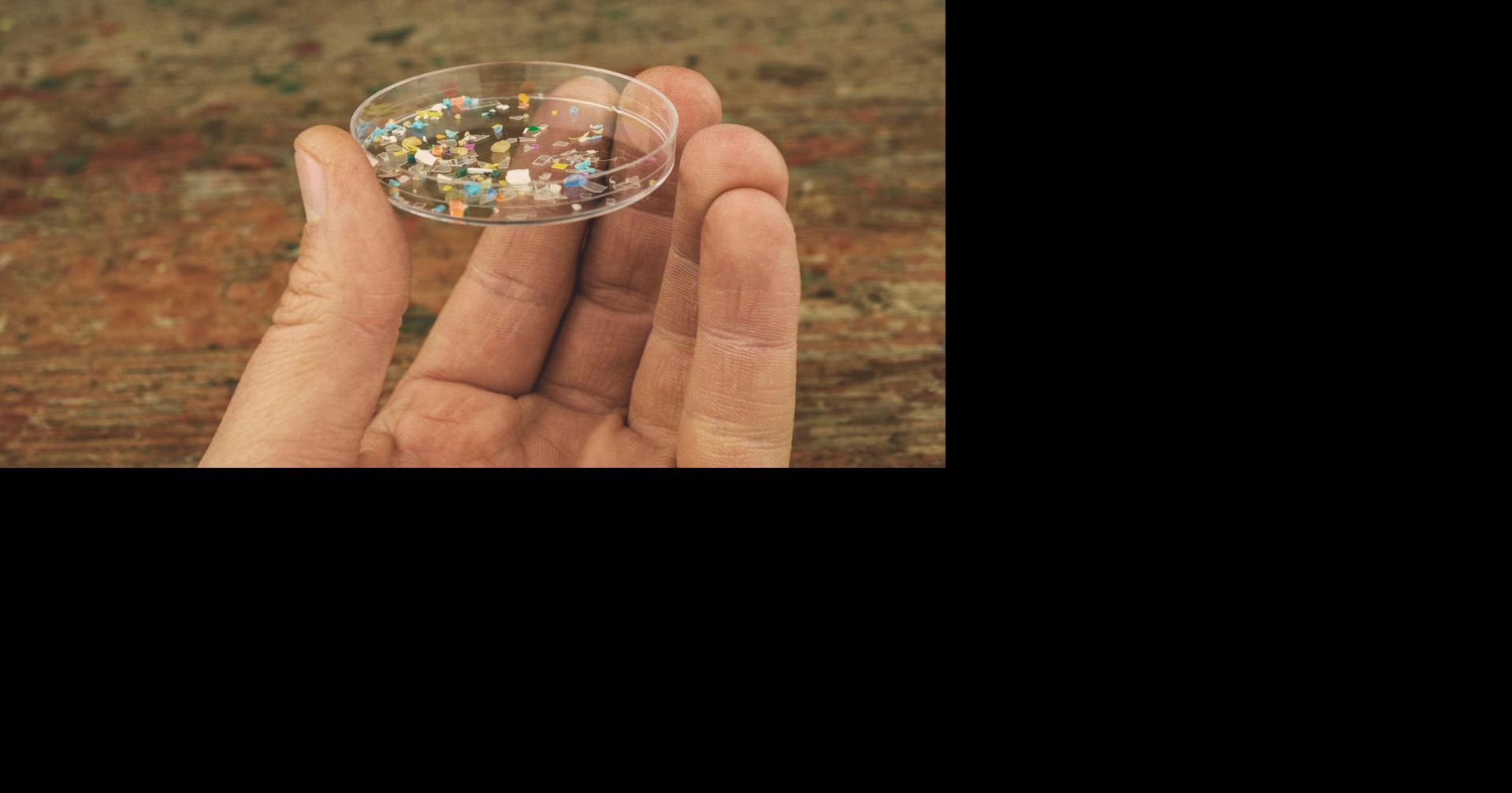 Tiny shards of plastic are increasingly infiltrating our brains, study ...