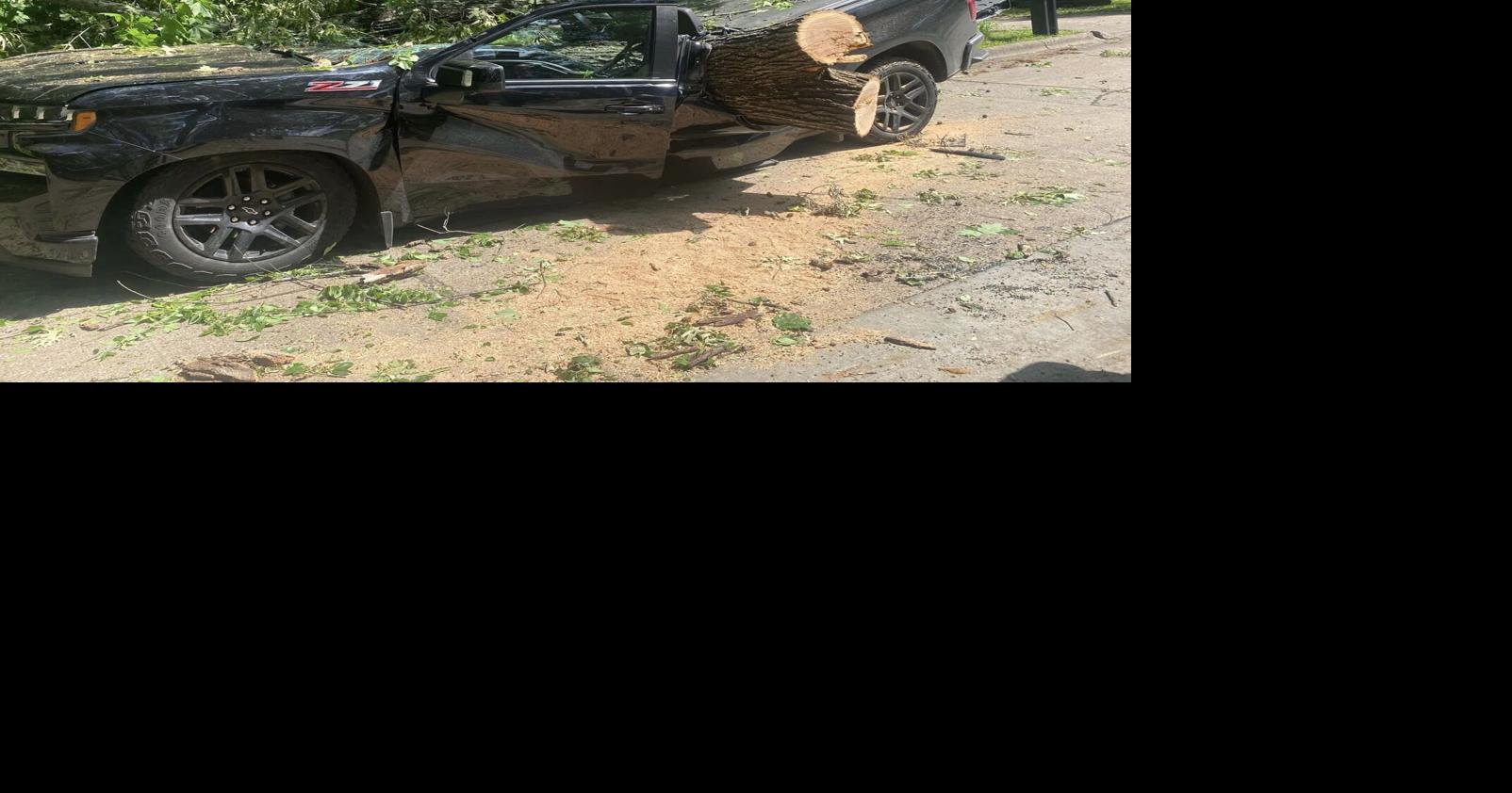 Fallen tree crushes truck in Jackson, MO | News | wsiltv.com