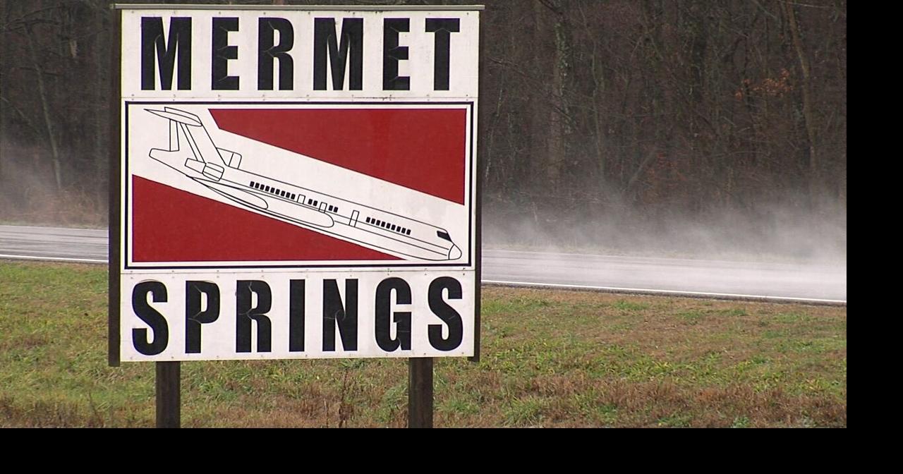 Divers plunge into 2022 at Mermet Springs | News | wsiltv.com