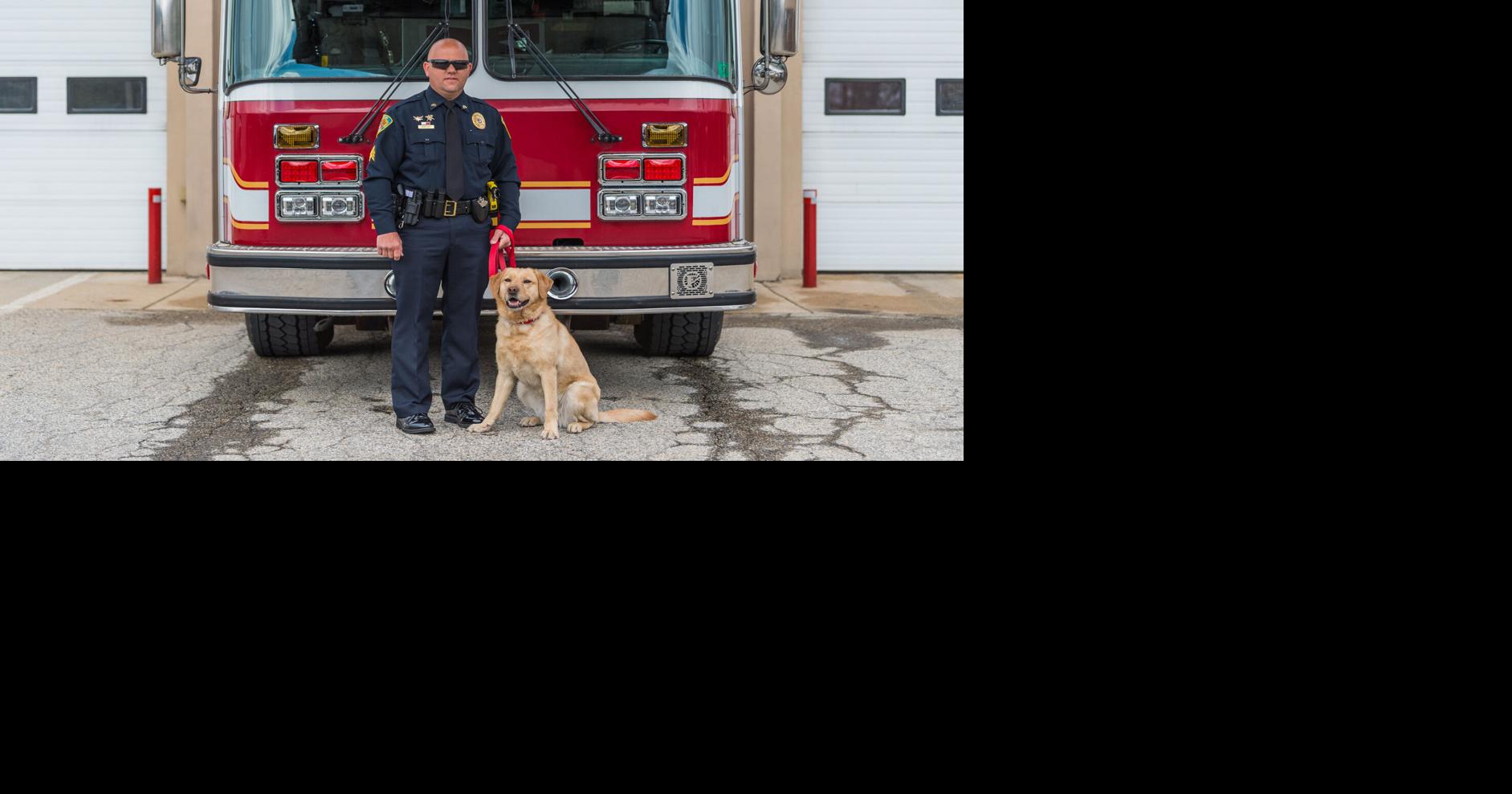 Sikeston DPS to welcome new arson detection K9 | Missouri | wsiltv.com