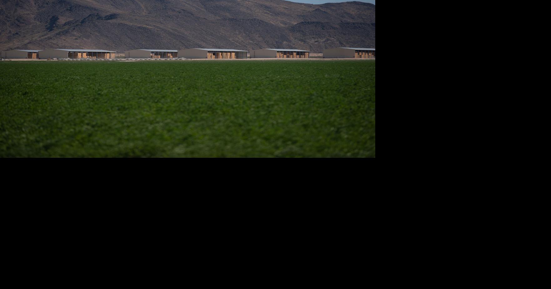 Arizona AG takes aim at foreign-owned farms that pump groundwater to ...