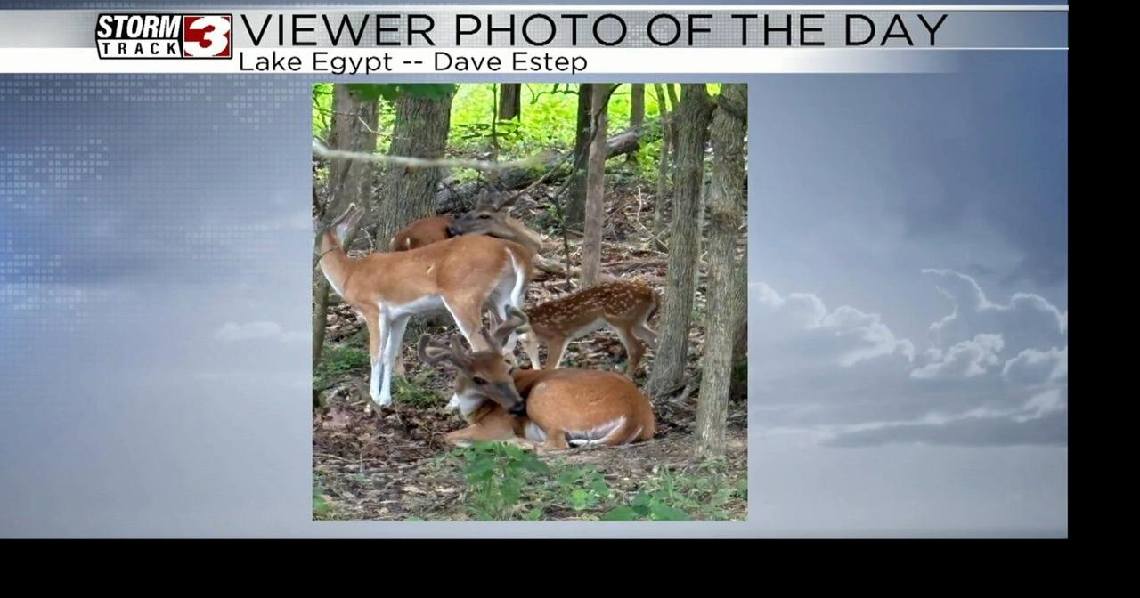 Viewer photo of the day sent in by Dave Estep | Video | wsiltv.com