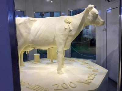 Illinois Butter Cow Unveiled Ahead Of State Fair | Local News ...