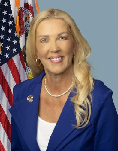 Rezin: New law makes Illinois a “dumping ground” for lawsuits | Local News | wspynews.com