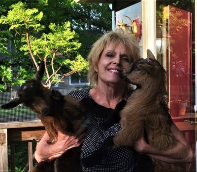 Interesting Offering: Goat Yoga Happening in Oswego | Local News ...