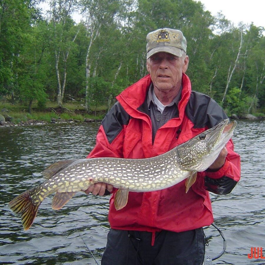 Robert "Bob" Wayne Hoyle, 80 | Obituaries | wspynews.com