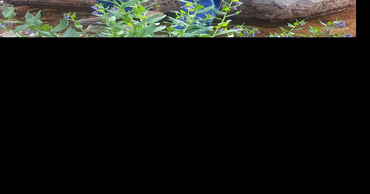 James (Jim) Lyell Bowen, 60 | Obituaries | wspynews.com