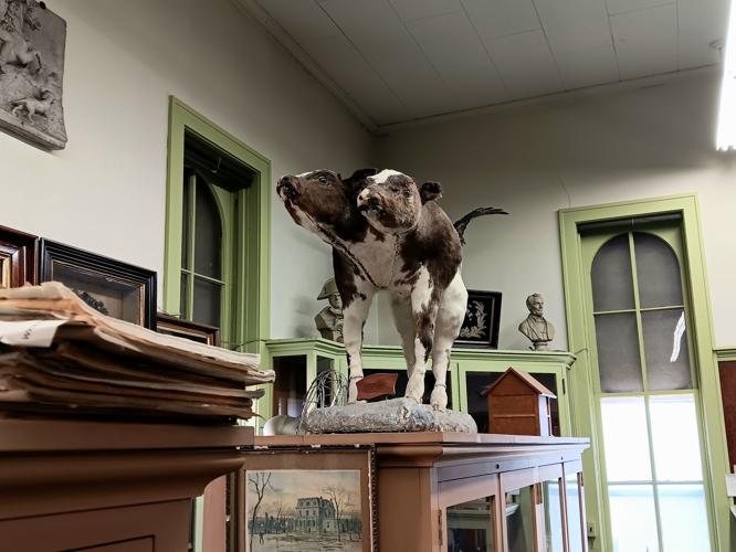Olmstead Museum surpasses halfway mark in fundraising for expansion ...