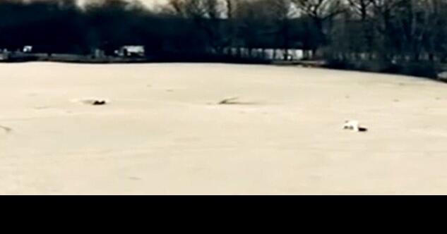 Video Shows Ice Rescue at Silver Springs State Park | Local News ...