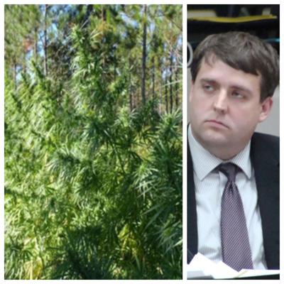County Board Member Prochaska Votes 'No' on Extending Medical Marijuana ...