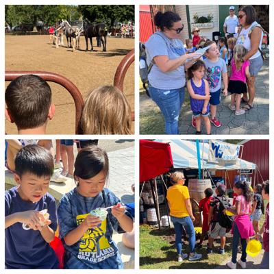 How do you milk a cow? Ask a first grader at The Sandwich Fair! | Local ...