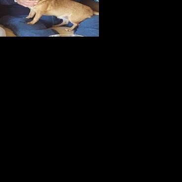 William G. Rix, 83 | Obituaries | wspynews.com