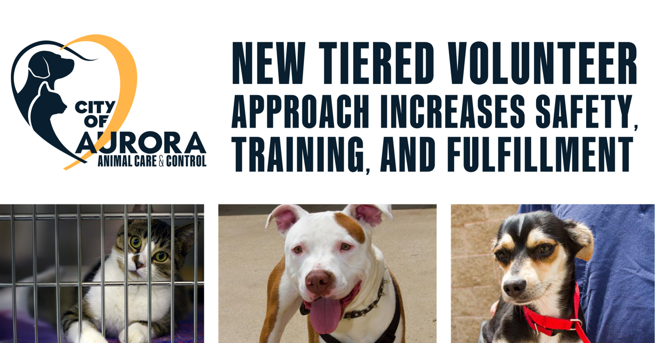 Aurora animal shelter revamps volunteer program, seeks applicants ...