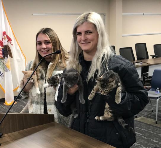 Kendall County Animal Control seeking homes for cats and dogs ahead of ...