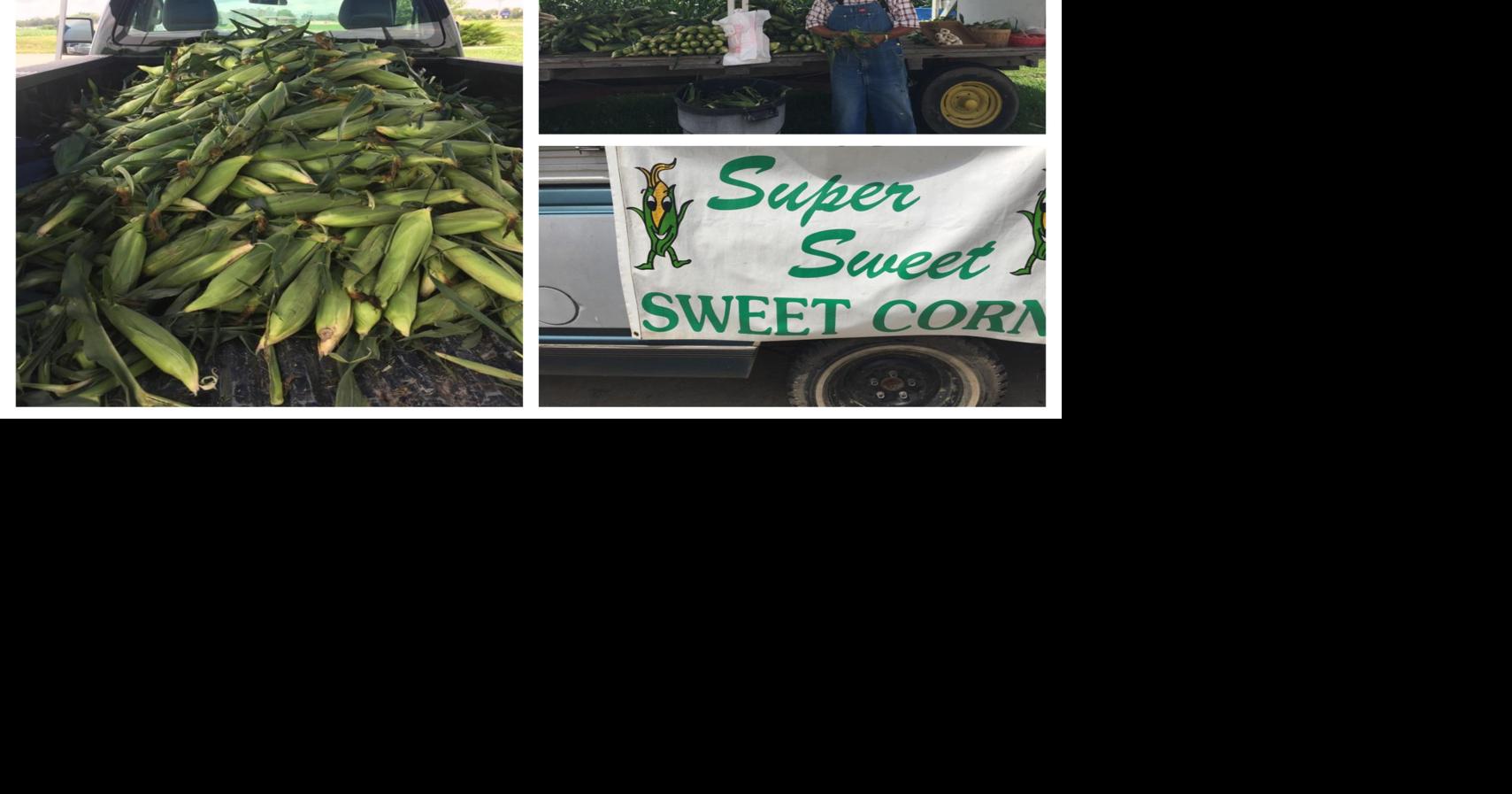 Kings of the Corn: Sweet Corn Stands in Kendall, DeKalb County Deliver ...