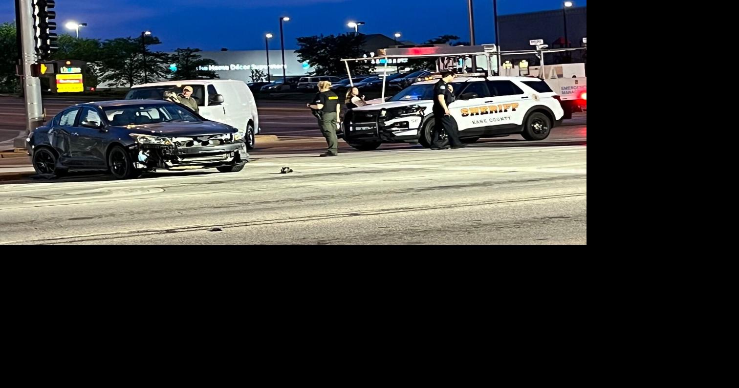 Suspect stopped and killed in Kane County, police dog dies | Local News ...