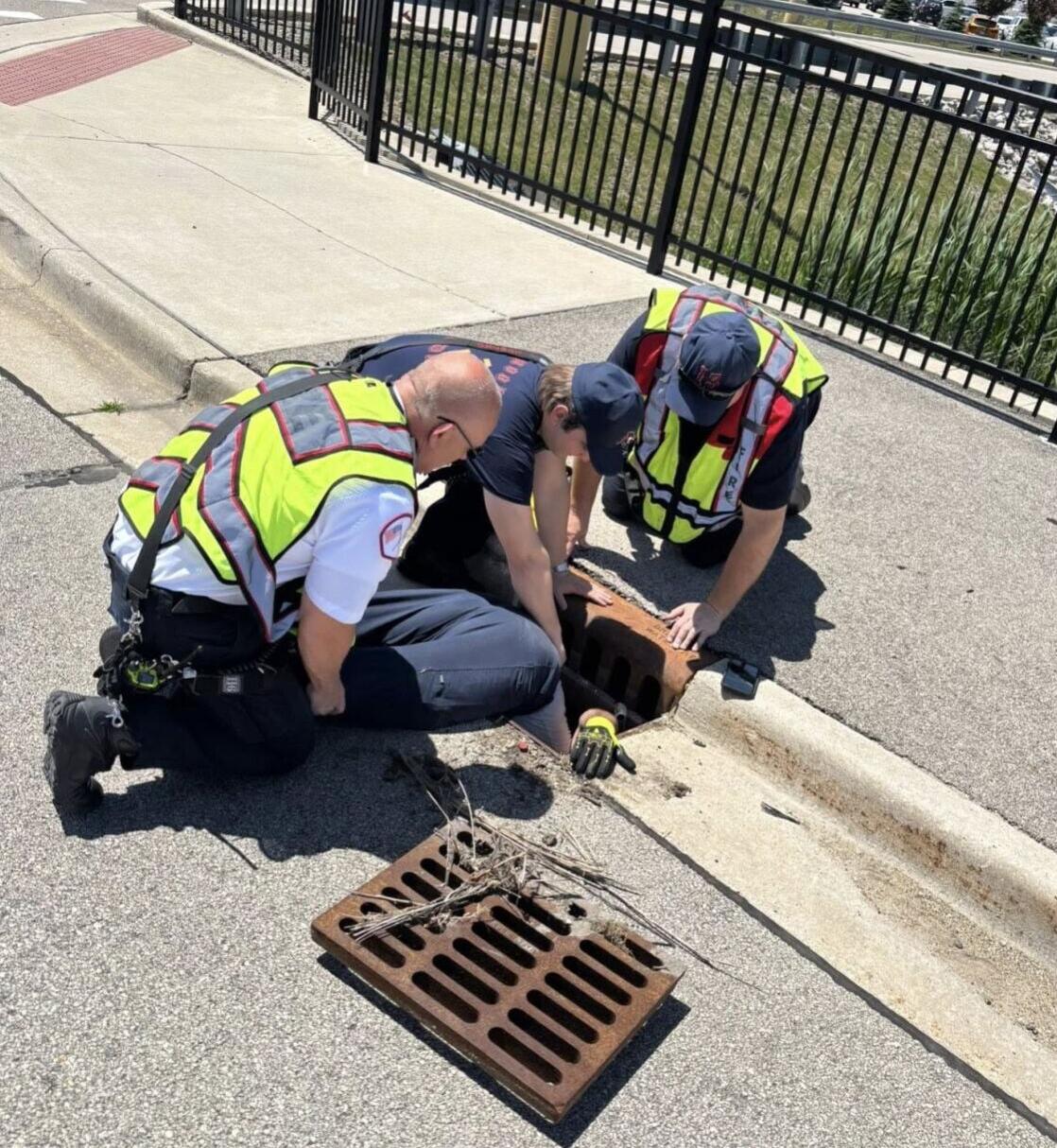 Eight Ducklings Rescues From Storm Drain By First Responders in Minooka ...