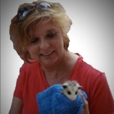 Susan L. Conley 1957-2019 | Obituaries | wspynews.com