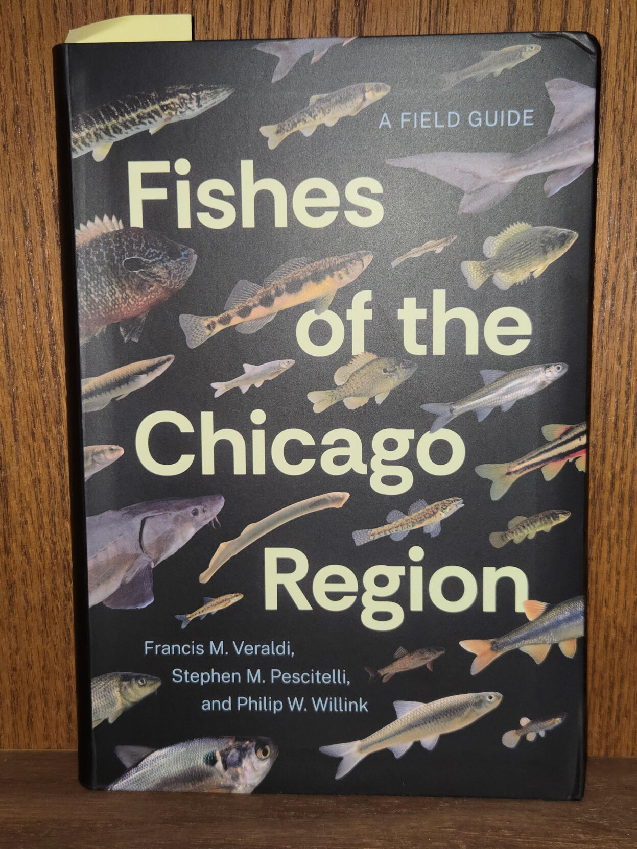 Field guide highlights fish species across Chicagoland waterways ...