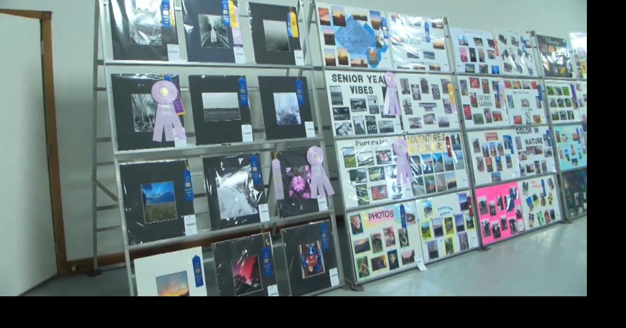 Vermillion County Fair kicks off with 4-H projects in Cayuga | News ...