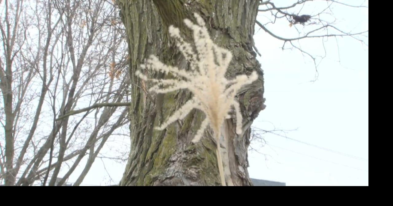 Experts emphasize "smart planting" during Indiana invasive species ...