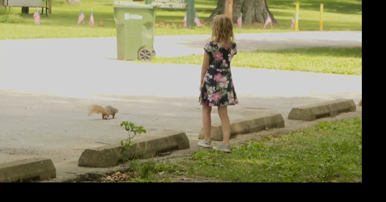 Wabash Valley girl Alice Dodd advances in Ranger Rick contest | News ...