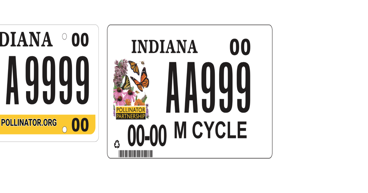 New license plates in Indiana support education and conservation | News ...