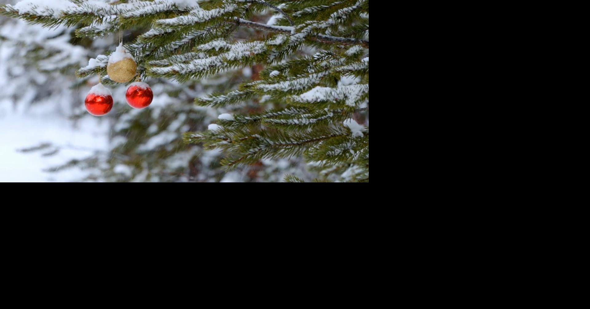 Kevin's Winter Weather Forecast: The signs and the science say two ...