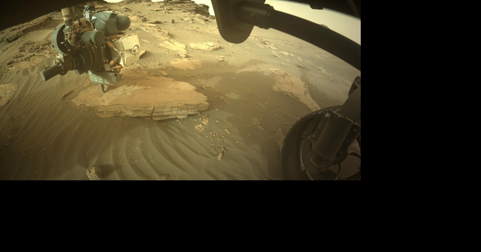Mysterious bundle of string on Mars' surface found by Perseverance ...