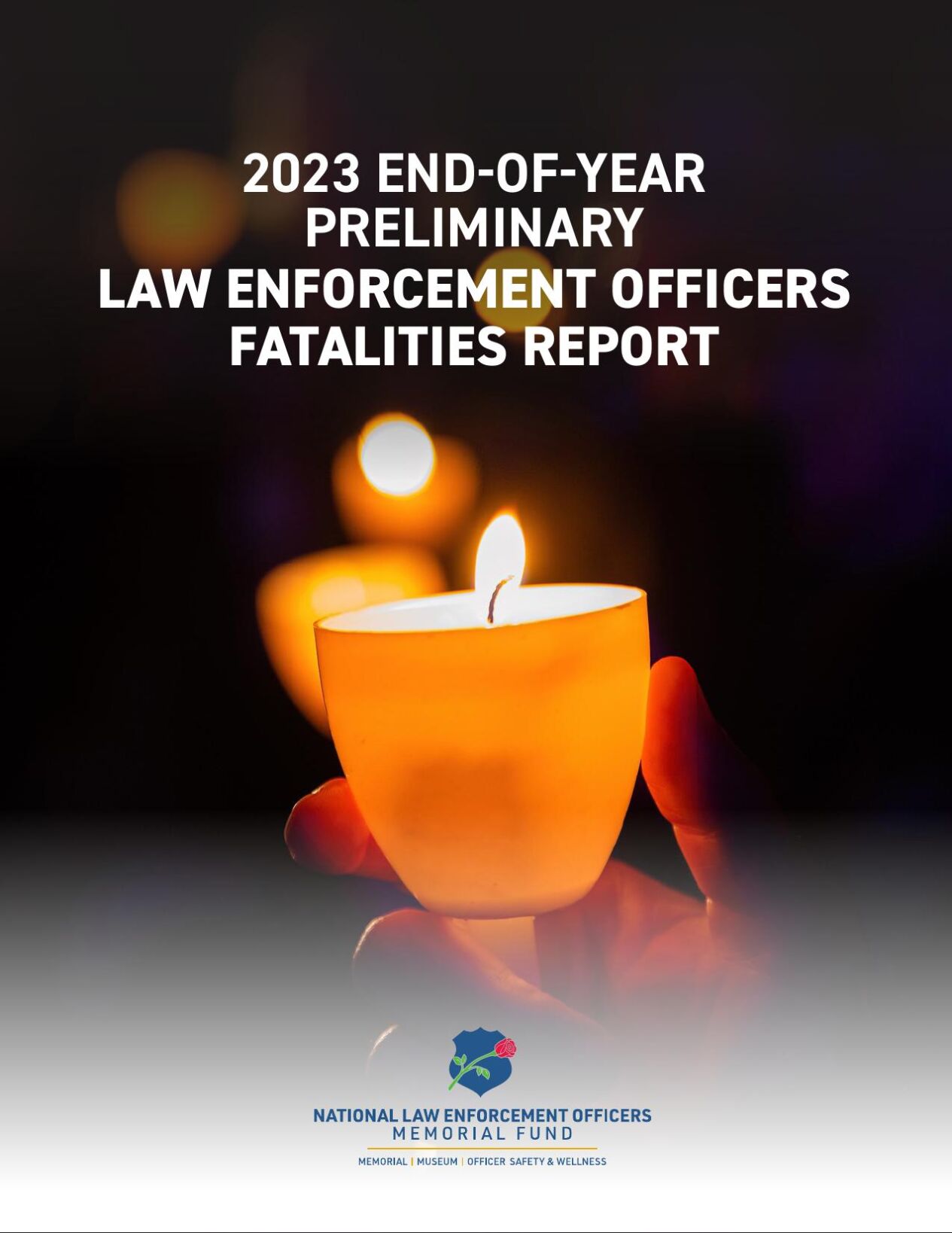 Report: Officer deaths down 39% in 2023 | Crime | wthitv.com